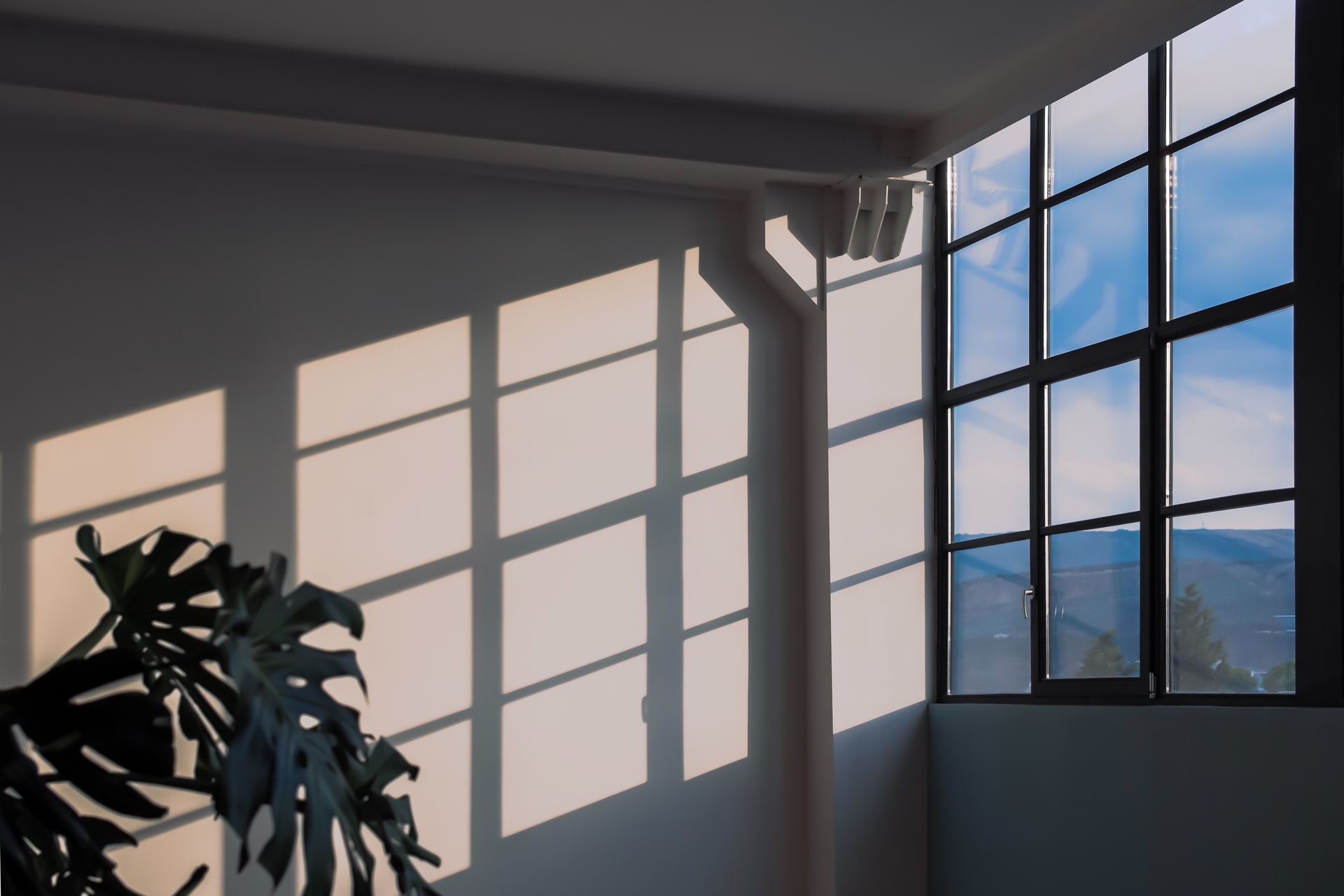 5 Common Window Types - Sky Building Materials